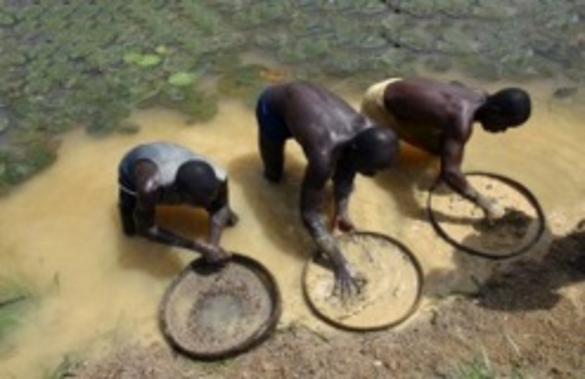 Home [partnership.who.int]