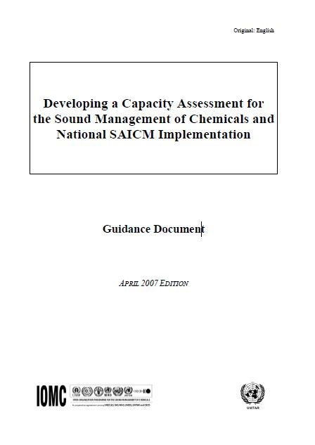 Developing A Capacity Assessment For The Sound Management Of Chemicals developing-a-capacity-assessment-for-the-sound-management-of-chemicals